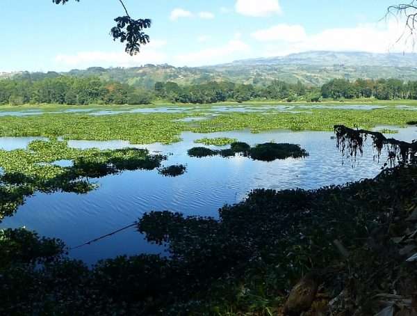 Orosilodge – It feels good to be lost in the right direction